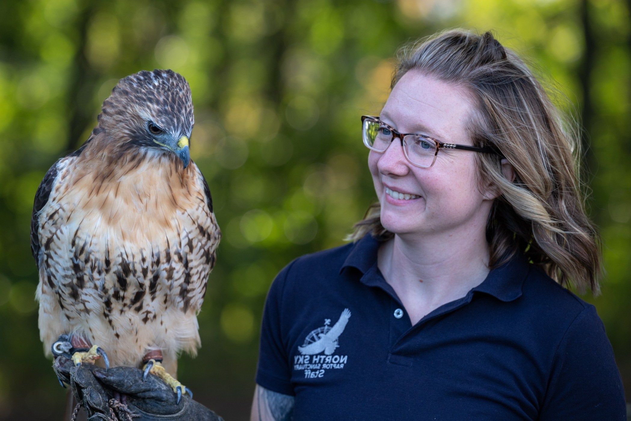 Raptors in the sky | Nauti-Cat Cruises
